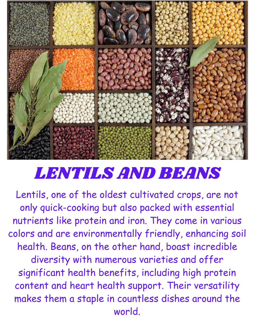 LENTILS & BEANS